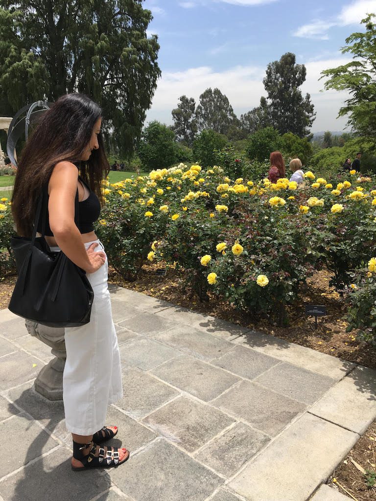 Recoupment Through Roses: A Word With Artist and Activist Amitis ...